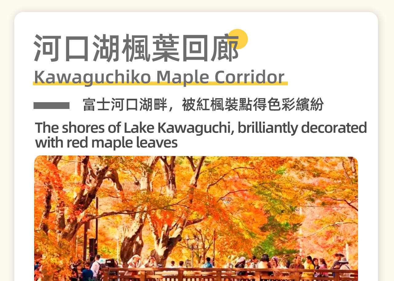 [Mount Fuji Popular & Classic Day Tour] Mount Fuji Popular Park ...